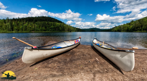 How to Canoe? The Guideline for a Smooth Paddle in 2024