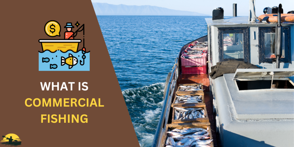 What is Commercial Fishing? Everything You Need to Know