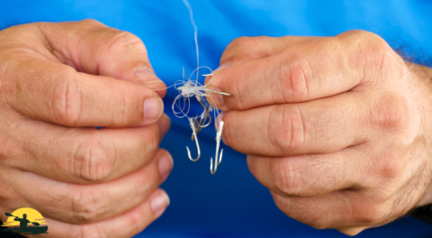How to Rig a Fishing Line? Step-by-Step Guideline in 2024