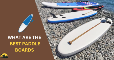 7 Best Paddle Boards for Beginners, Experts & All Budgets